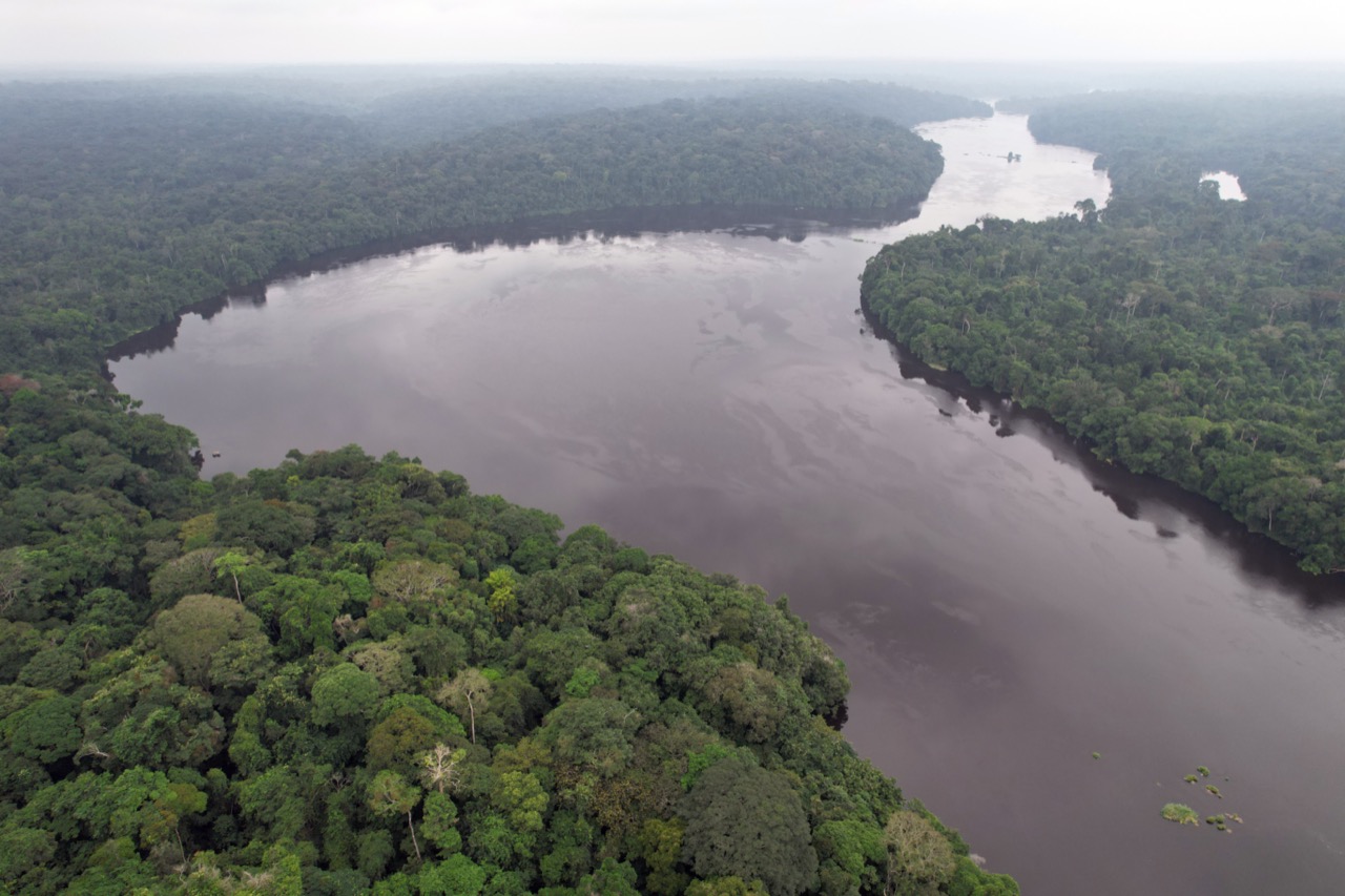 COP29 from an African Lens - Environmental Journalism and Education