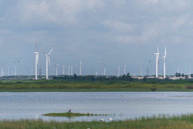 How Mongabay’s reporting informs carbon market professionals ...